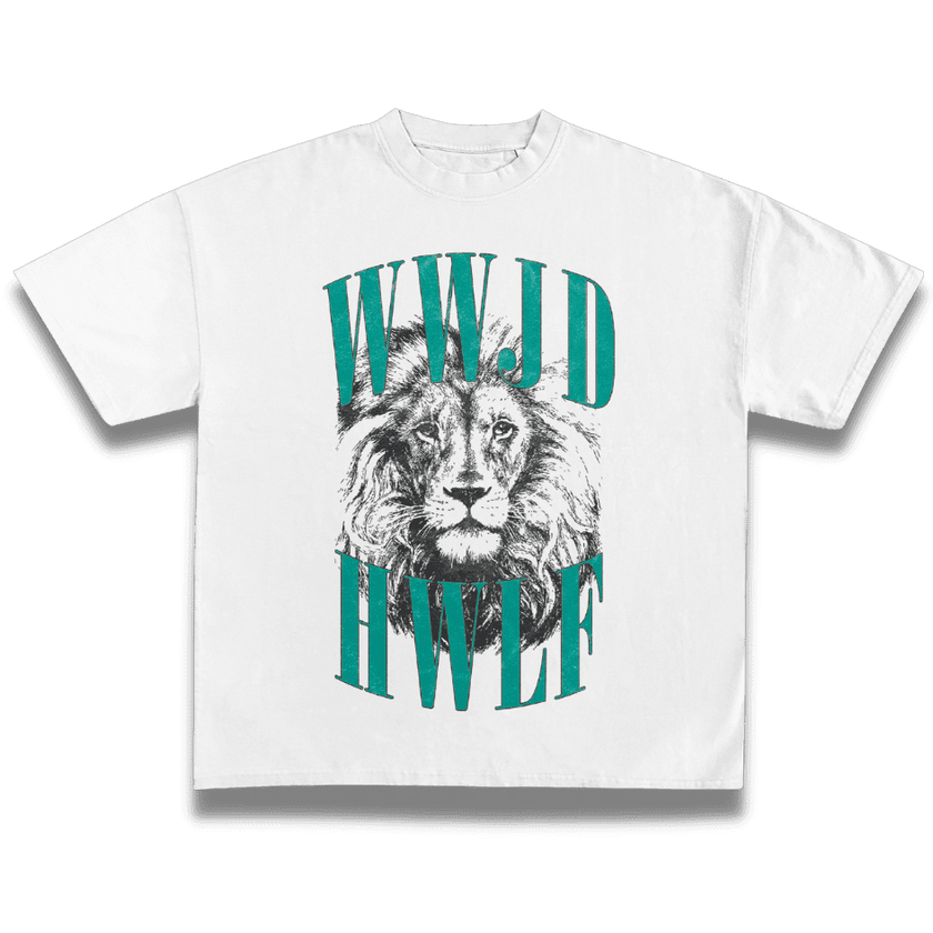 NEW! WWJD VINTAGE "SKATER" HOODIE | ASH – He Would Love First